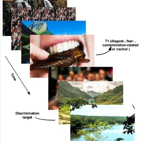 The Emotional Attentional Blink Task With Distracting Stimuli And The Download Scientific