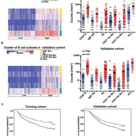 Cluster Analysis Based On B Cell Density Enables Patient Classification Download Scientific