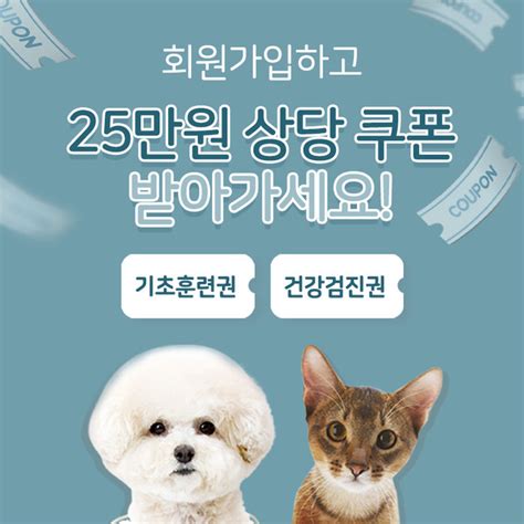 👪회원가입하고 25만원 상당 쿠폰 받아가세요💳 강아지입양 고양이입양 도그마루 입양케어센터 유기견입양 유기견분양 유기묘분양 강아지파양 고양이파양 유기묘입양 유기견센터
