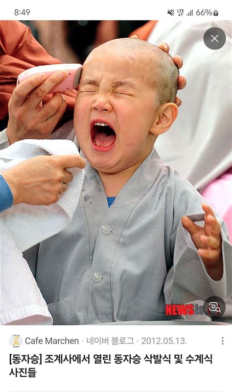 학교에 항의하면서 페미인거 쉽게 보여줄수 있는 방법있는데 왜 안함 유머 움짤 이슈 에펨코리아