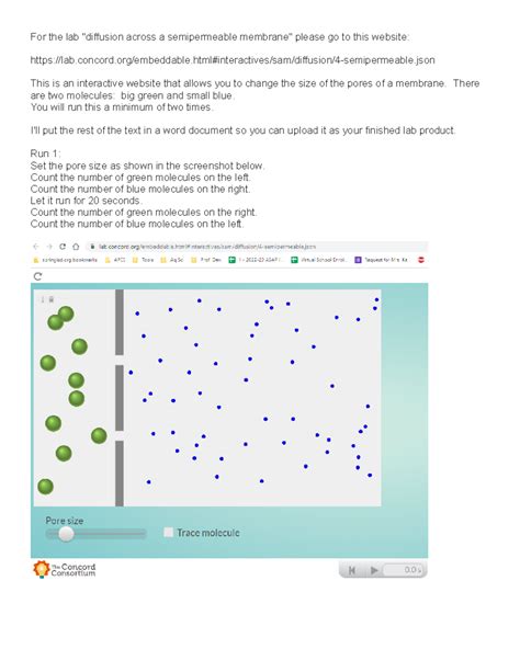 Diffusion Across A Semipermeable Membrane Virtual Lab For The Lab