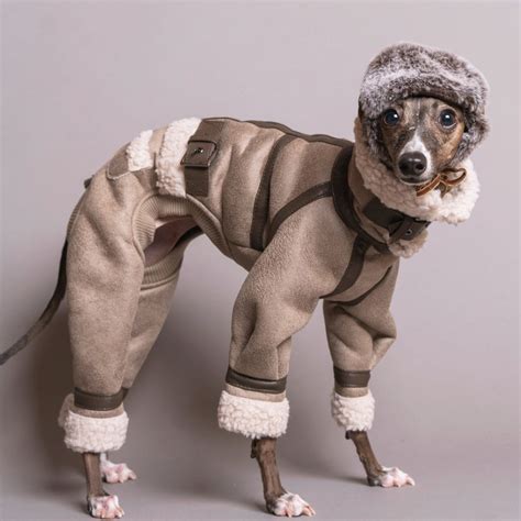 B3 Flight Suit 24aw すべての商品 イタグレ服のlunetta