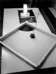 Evolutionary Robotics Laboratory Of Intelligent Systems