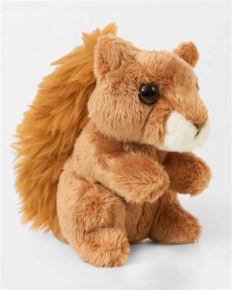 Squirrel Scouts Squirrels Uniform Clothing Badges And Accessories