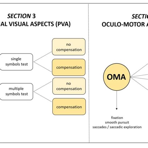 Visual Function Score Conception Download Scientific Diagram