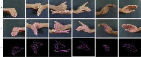 Examples Of Some Of The Challenging Occulted Gesture Frames A Actual Download Scientific