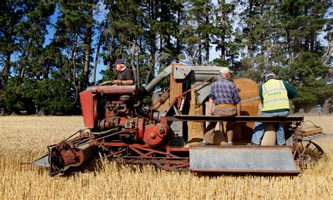 무료 이미지 들 농장 차량 수확고 양식 농업 기계 Wheatharvesting 3668x2206