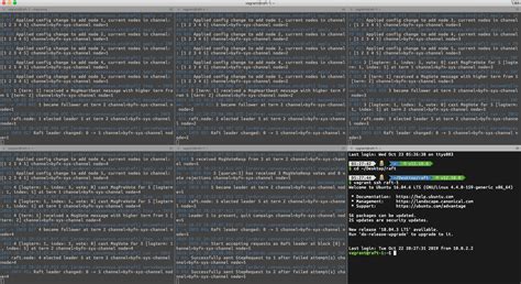 hyperledger network 구성 byfn try