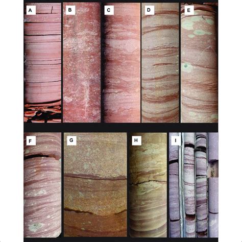 Upper Heterogenous Assemblage Very Fine Grained Sandstone Lithofacies Download Scientific