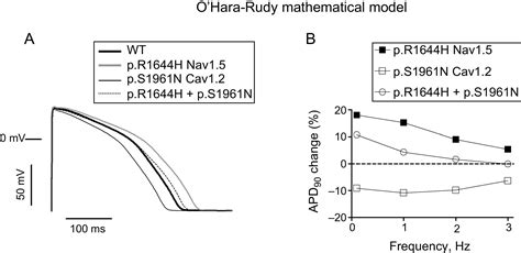 Digenic Heterozigosity In Scn5a And Cacna1c Explains The Variable Expressivity Of The Long Qt