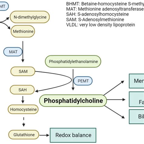 Multiple Selected Reaction Monitoring Mrm Srm And Parallel Reaction