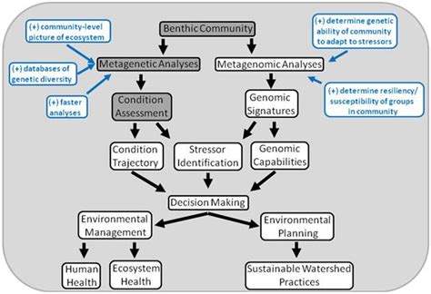 Development Of High Throughput Dna Sequencing Techniques To Improve And Advance Environmental