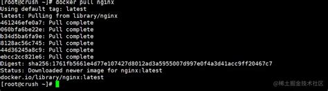 Docker 安装 Nginx 部署前端项目看完这篇文章，让大家对于 Docker 怎么玩、nginx 是什么样子大致 掘金
