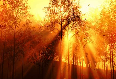 Python Aka Пайтон РазБираем код на готовых примерах 2025 ВКонтакте