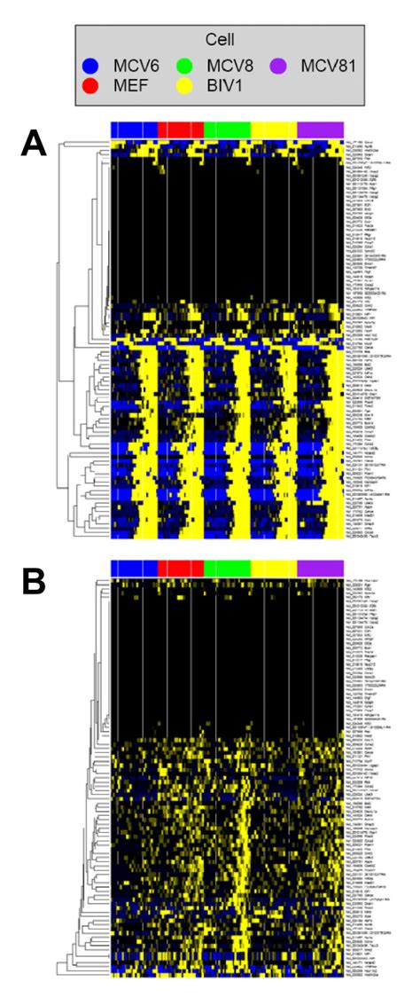 Proliferation Signature In Epigenomics Chip Seq Data Genomics Portals