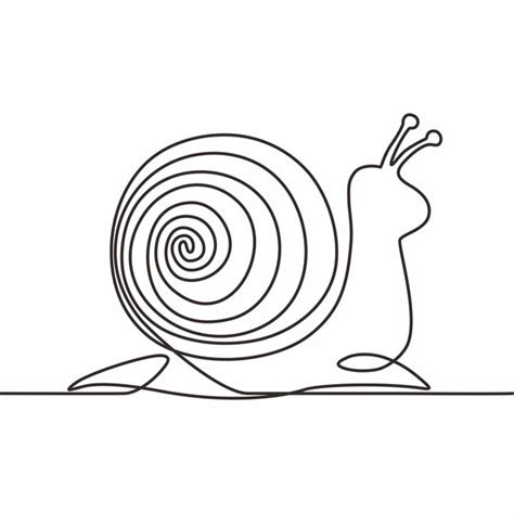 Premium Vector Snail Continuous Line Drawing Victor Art Illustration
