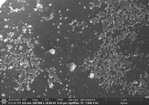 Representative Scanning Electron Microscopy Image Of Polystyrene