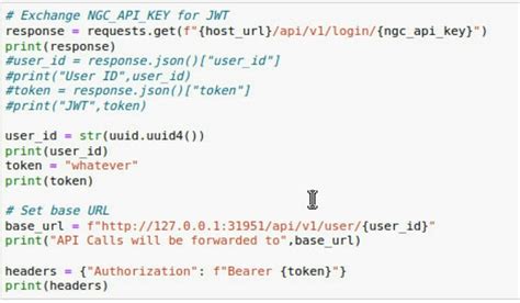 tao toolkit api cannot login and got 401 unauthorized tao toolkit