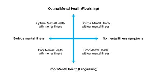 Appendix B Dual Continuum Model Framework For Evaluating Mental Health And Wellness