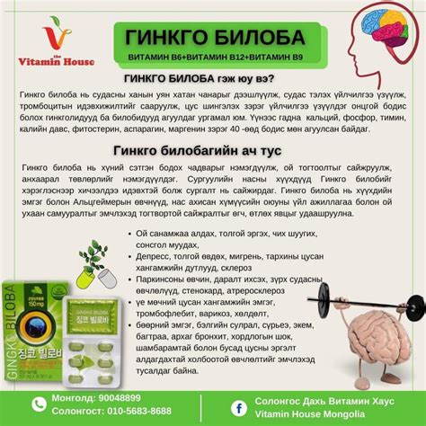 Тархины тэжээл монголд бэлэн Vitamin House Mongolia