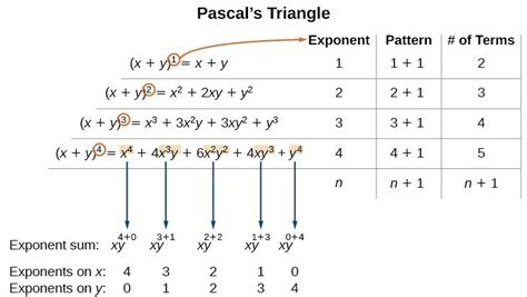use the binomial theorem college algebra