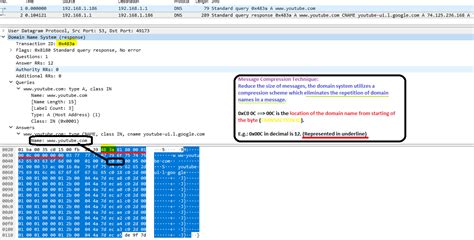 Dns Response Answer And Authoritative Section Stack Overflow