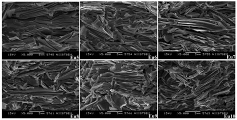 Sem Micrographs Of Eu Substituted Bi Pb 2212 Samples Download Scientific Diagram