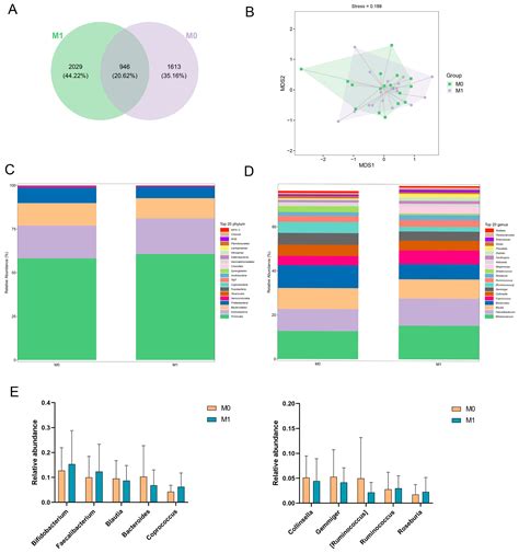 Screening Probiotics For Anti Helicobacter Pylori And Investigating The Effect Of Probiotics On