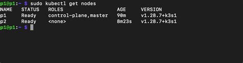 step by step guide creating a kubernetes cluster on raspberry pi 5