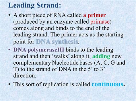 Bidirectional And Rolling Circular Dna Replication Pptx