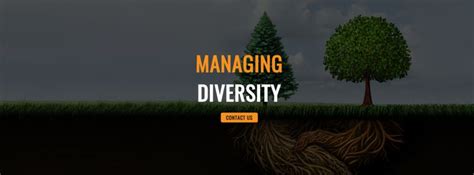 Diversity Vee Technologies