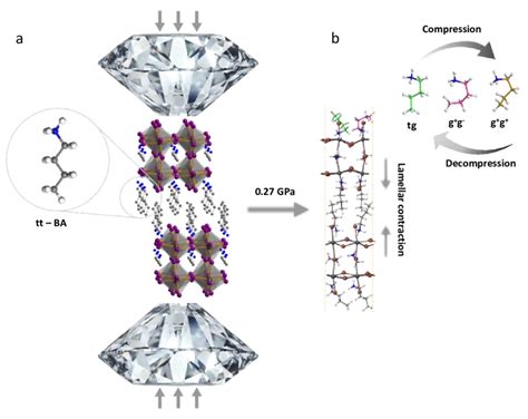 Rotational Isomerism Of Ba Molecules During Compressive Stress Of N 2