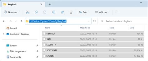 Windows Activer La Sauvegarde Automatique Du Registre Regback Le