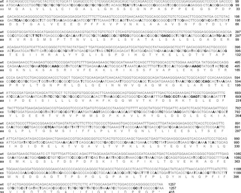 Table 1 From Codon Preference Optimization Increases Heterologous Pedf