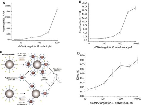 Figure 3 From Comparison Of Single Stranded Dna Probes Conjugated With Magnetic Particles For