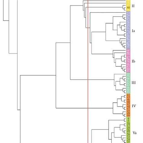 Dendrogram Obtained From The Euclidean Distances Matrix Calculated By