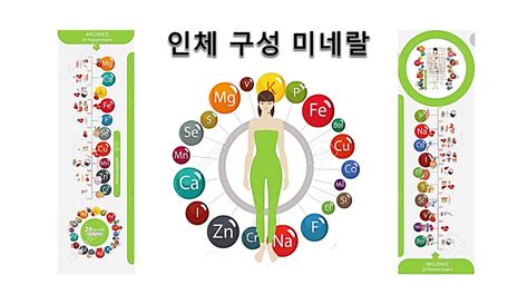 미네랄의 중요성 한국건강복지협회
