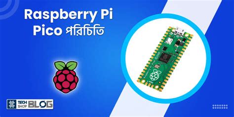 Raspberry Pi Pico পরিচিতি Tsblog
