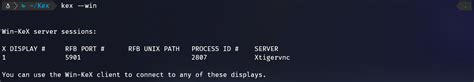 Kali Linux WSL Cannot Execute Windows Binaries Due To Systemd Issue Microsoft WSL