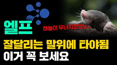 엘프 긴급 100 애혼자 급등나올거 같습니다 시장흐름 거슬러가는 코인 매수해두세요ㅣd 5day Cpi Fomc 금리인상 리스크 엘프 Elf 코인시황