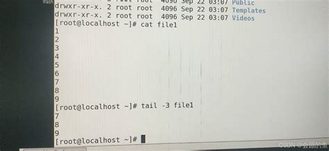 linux实验day03 文件读取命令cat、tac、more、less、head和tail的常规使用方法和常见选项、grep查找文件内容