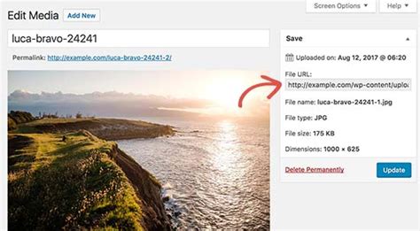 Comment Ajouter Un Effet Parallaxe Sur Un Thème Wordpress