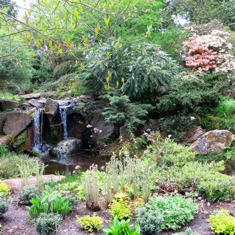 Bellevue Botanical Garden Society Downtown Bellevue Wa