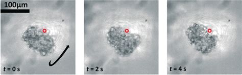 Combined Opticalacoustic Rotation Of Spheroid The Spheroid Did Not