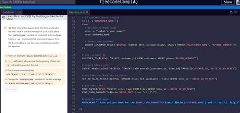 learn bash and sql by building a bike rental shop backend development