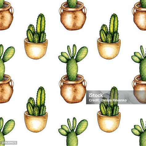 화분에 있는 선인장 패턴의 수채화 그림 엽서 포스터 배너 초대장 인사말 카드 인쇄물에 적합합니다 흰색 배경에 고립되어 있습니다 손으로 그린 것입니다 가시에 대한 스톡 벡터