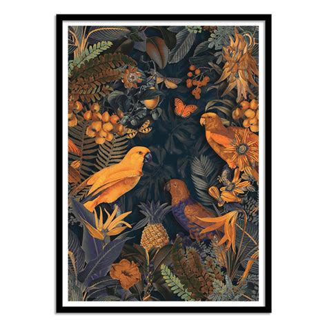 Affiche Oiseau Tropical Perroquet Parrots Midnight Paradise Andre