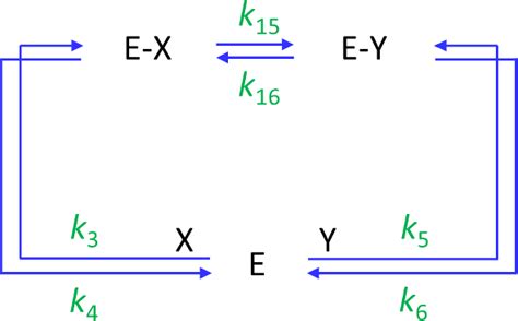 Single Substrate Single Product Enzyme Reaction Download Scientific