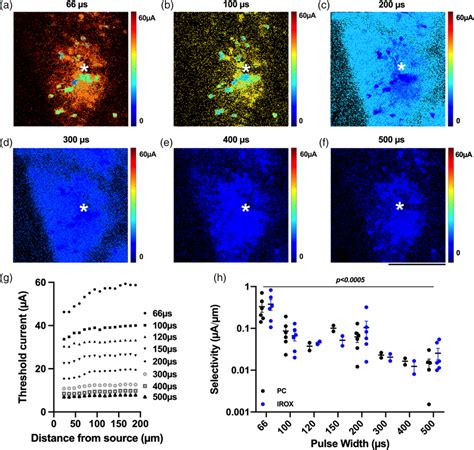 Effect Of Pulse Width Modulation On Neuronal Selectivity Af Download Scientific Diagram