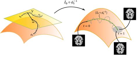 The Presented Stochastic Deformation Model Includes Both The Average Download Scientific